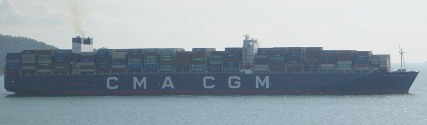 Charter rates remain elevated despite free-falling freight rates