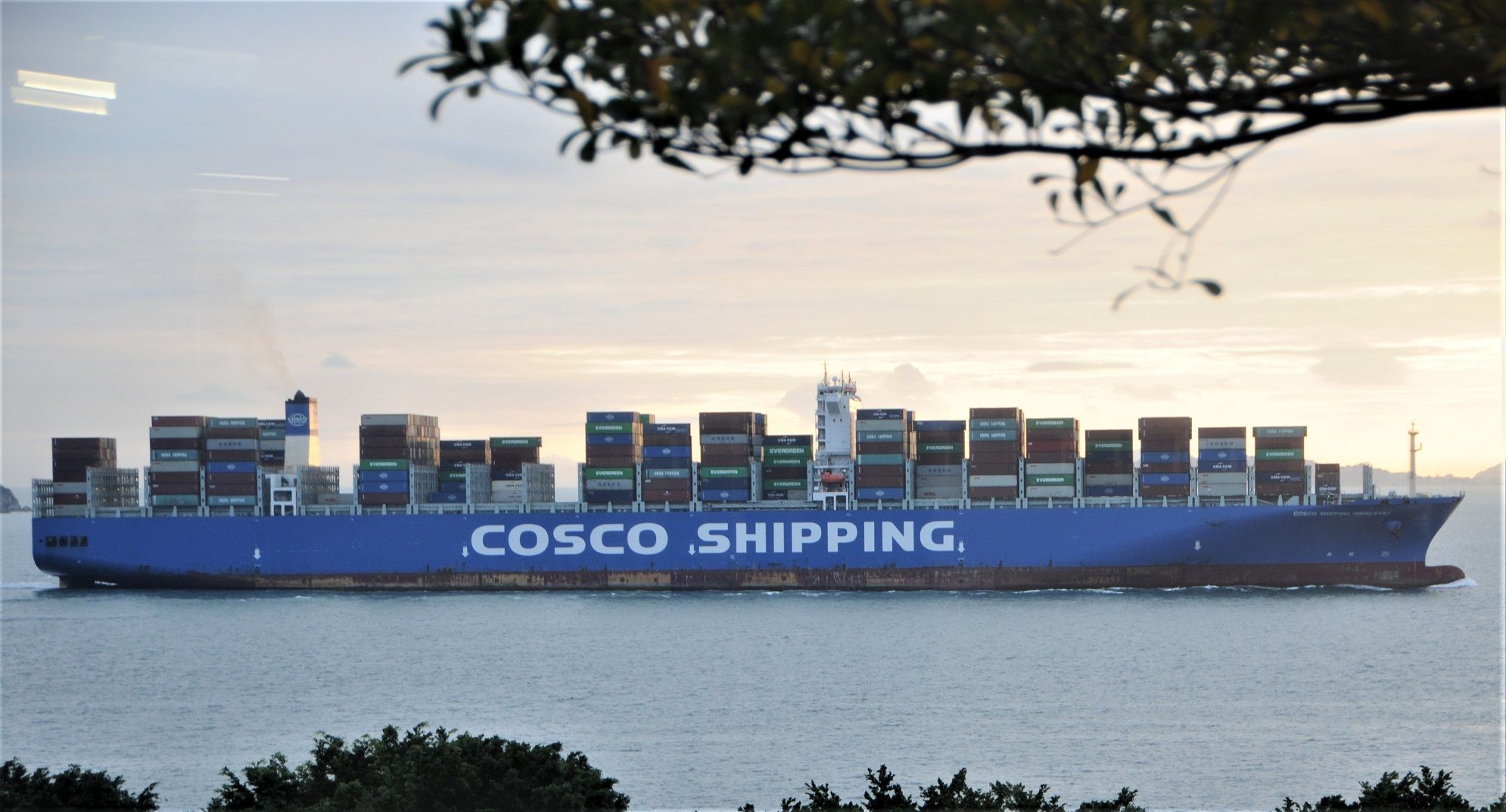 COSCO earnings hit by questionable provisions