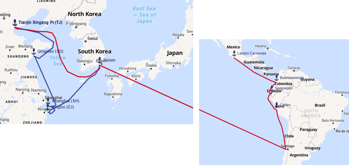 Zim to launch maiden FE-WCSA ZIM Albatross (ZAT) service